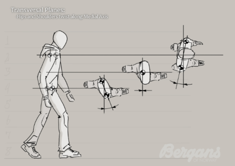 Biomechanics and Backpacks: The Problem - Carryology - Exploring better ...