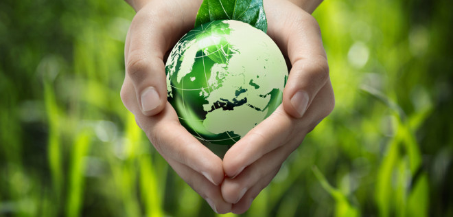 Introducing the Leather Working Group - Carryology