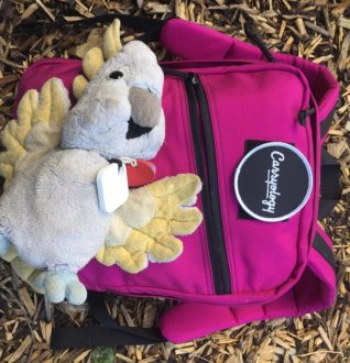 GORUCK Kid Ruck 8L and 13L :: Drive By - Carryology