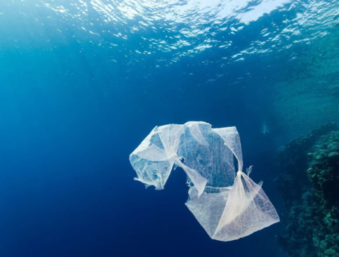 The Calamity of the Single-use Plastic Bag - Carryology