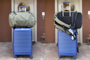 Pakt Travel Backpack Review | Carryology