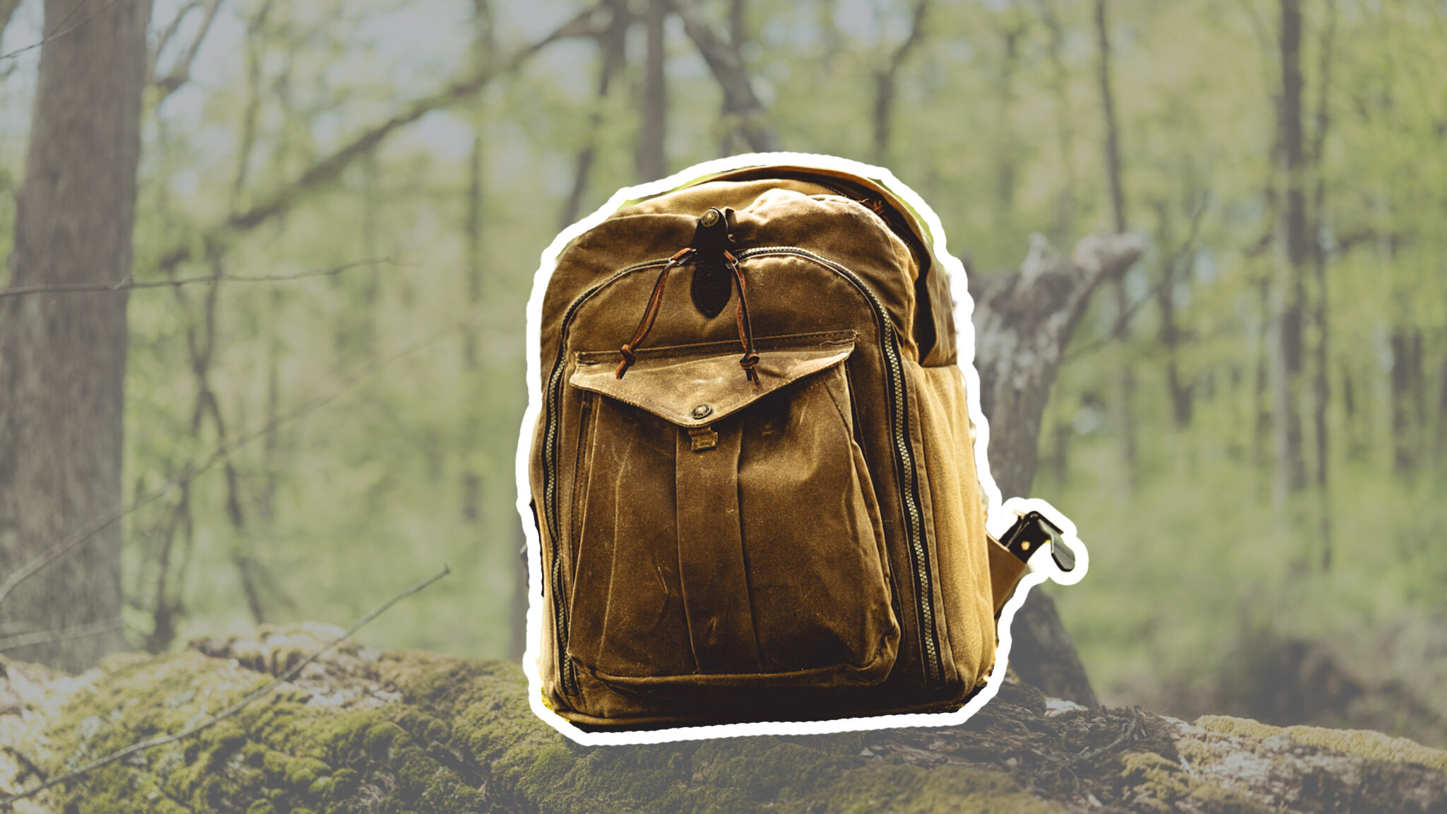 10 Best Luxury Camera Bags for Photographers Who Value Style & Function ...